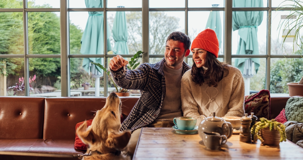 Celebrating Doggy Date Night: Fun Things to Do With Your Dog