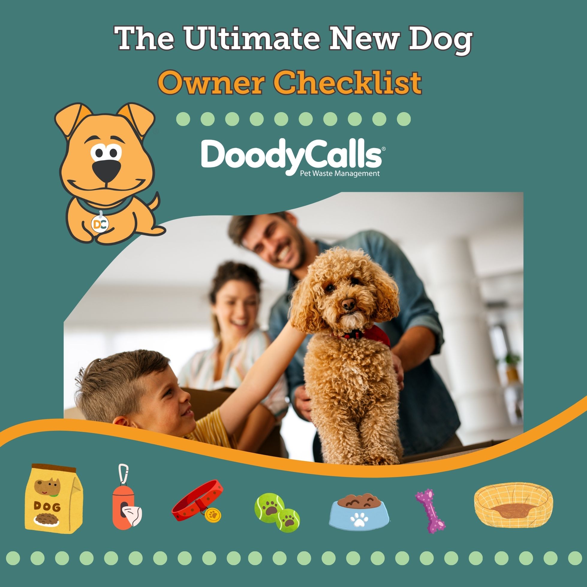 Bringing Home a New Dog: The Ultimate New Dog Owner Checklist