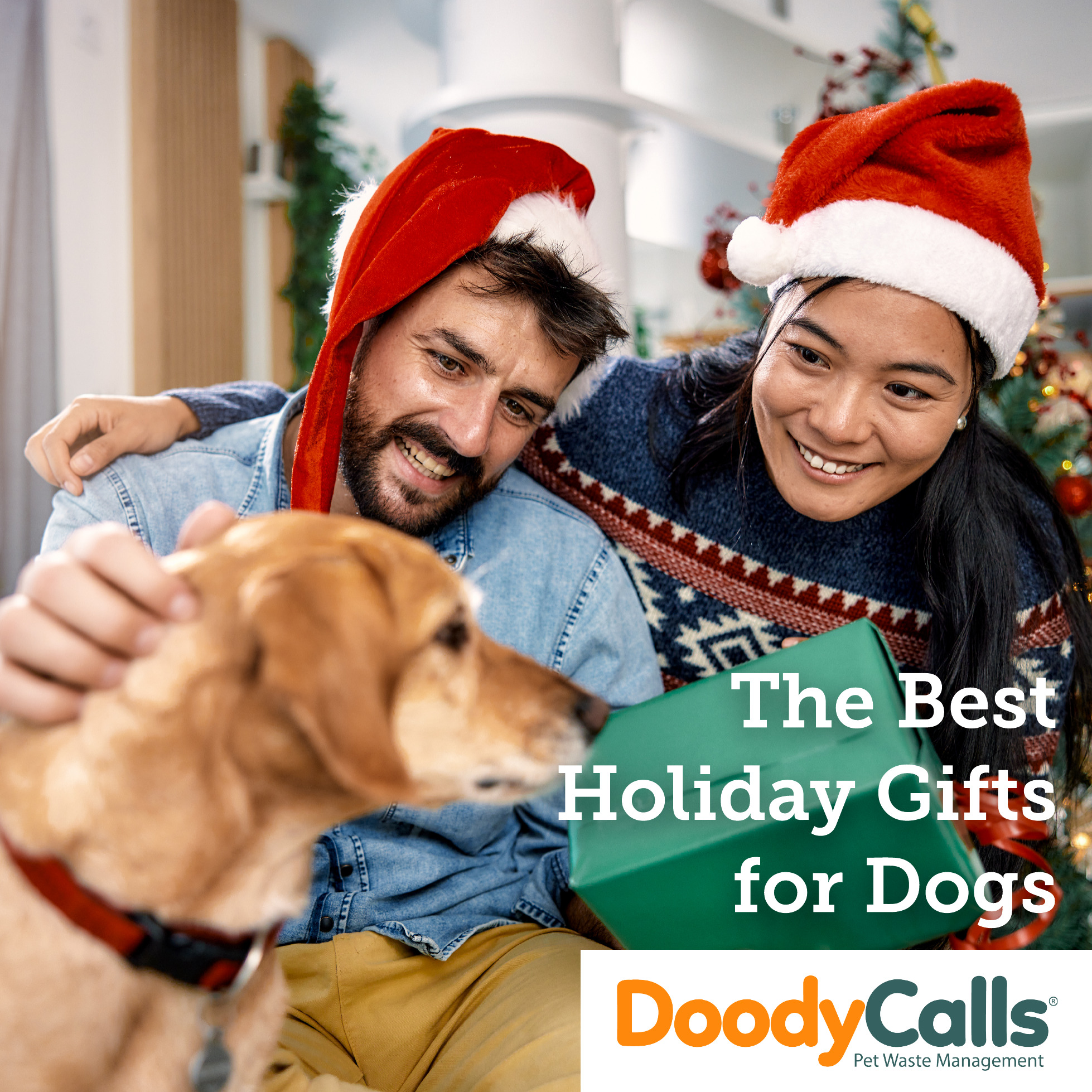 The Best Christmas Gifts for Dogs and Dog Lovers