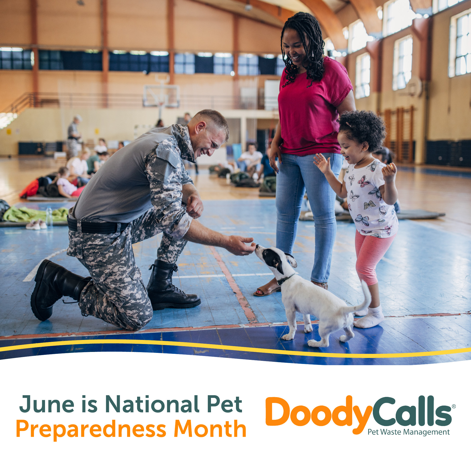 June is National Pet Preparedness Month: Is Your Pet Part of Your ...