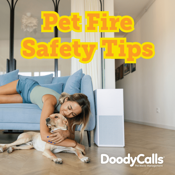 National Pet Fire Safety Day Tips | Keep Pets Safe at Home
