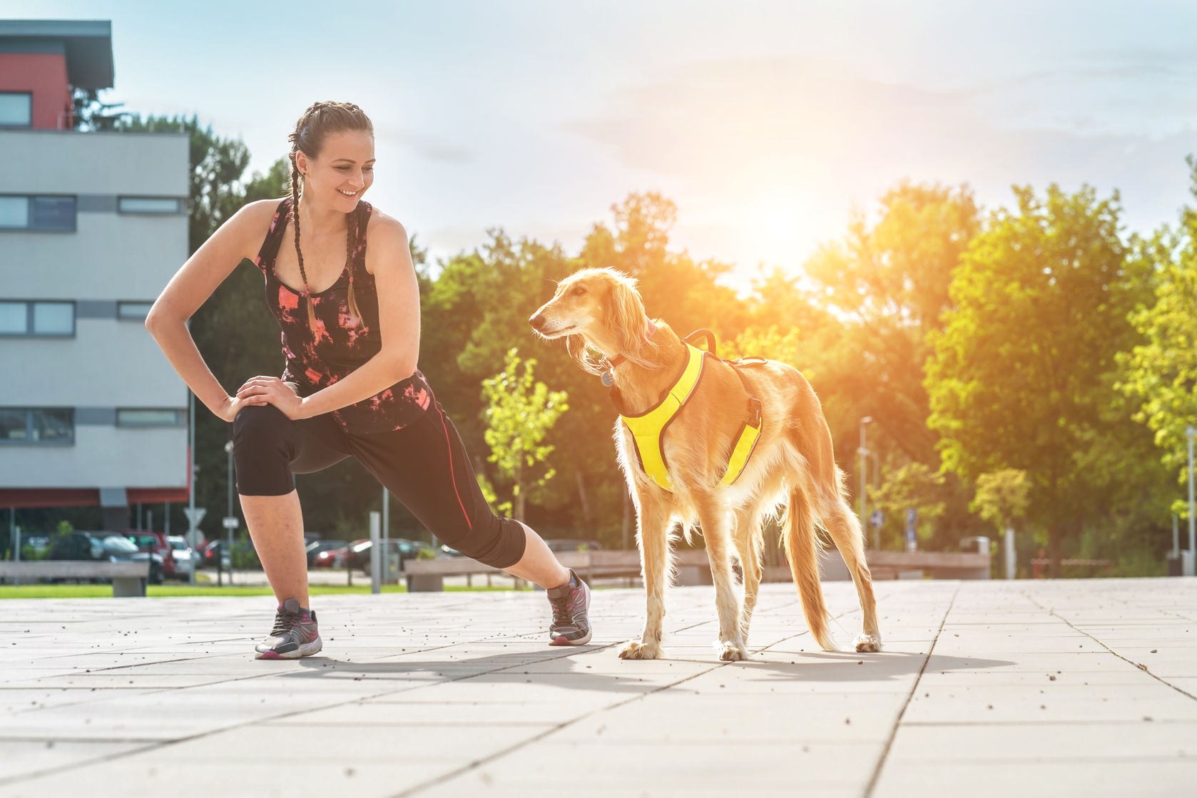 Best places to explore with your dog in the city of Reno