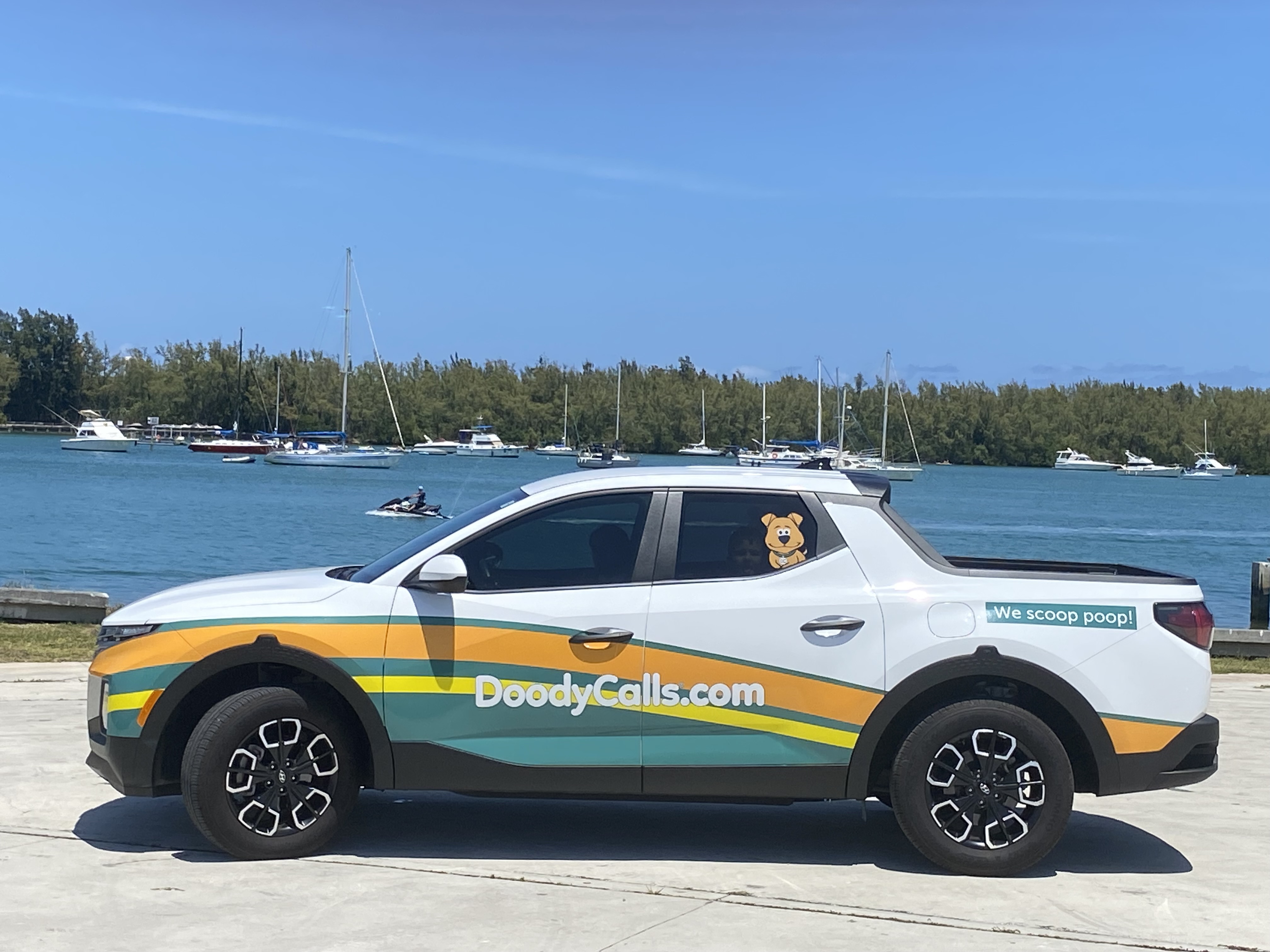 Dog Poop Removal in Miami | DoodyCalls